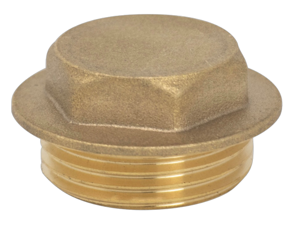 3/4 Inch Brass Flanged Plug